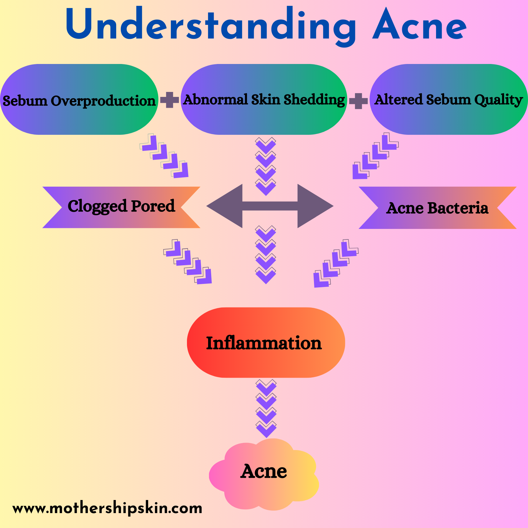 How to Treat Acne: Oily Skin Vs Dry skin | MothershipSkin