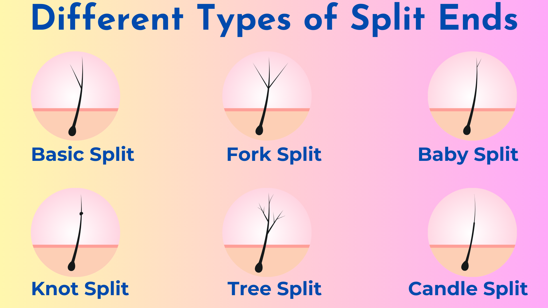 Ultimate Guide to Split Ends | Repair, Prevention & Styling